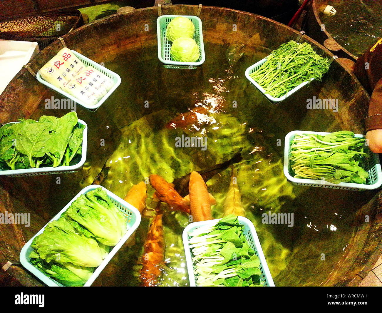 Container of fish hi-res stock photography and images - Alamy