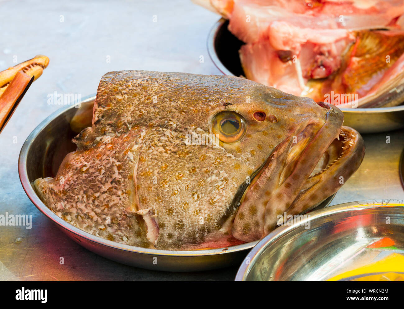 Penang And Seafood High Resolution Stock Photography and Images - Alamy