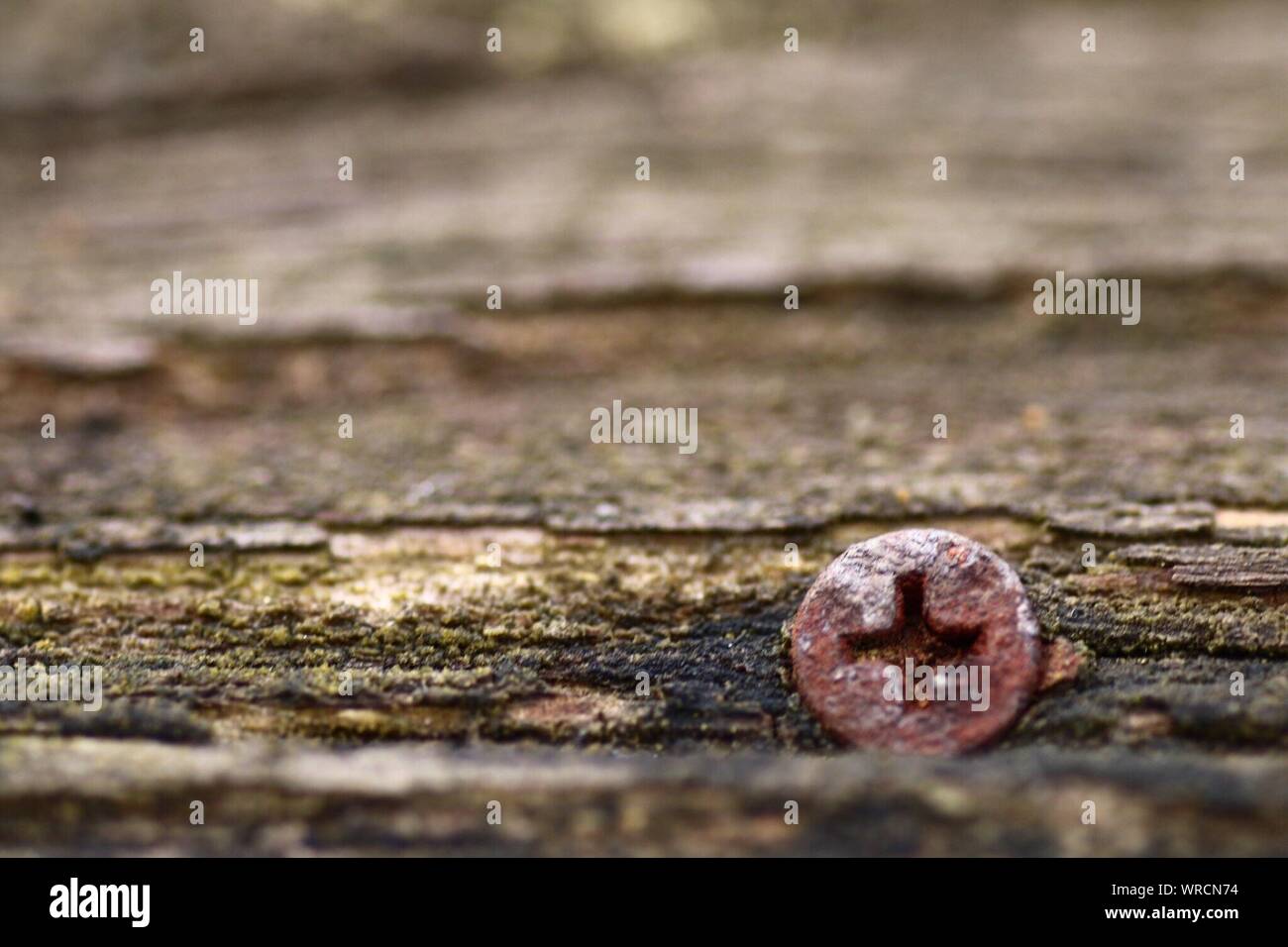 Timber process hi-res stock photography and images - Alamy