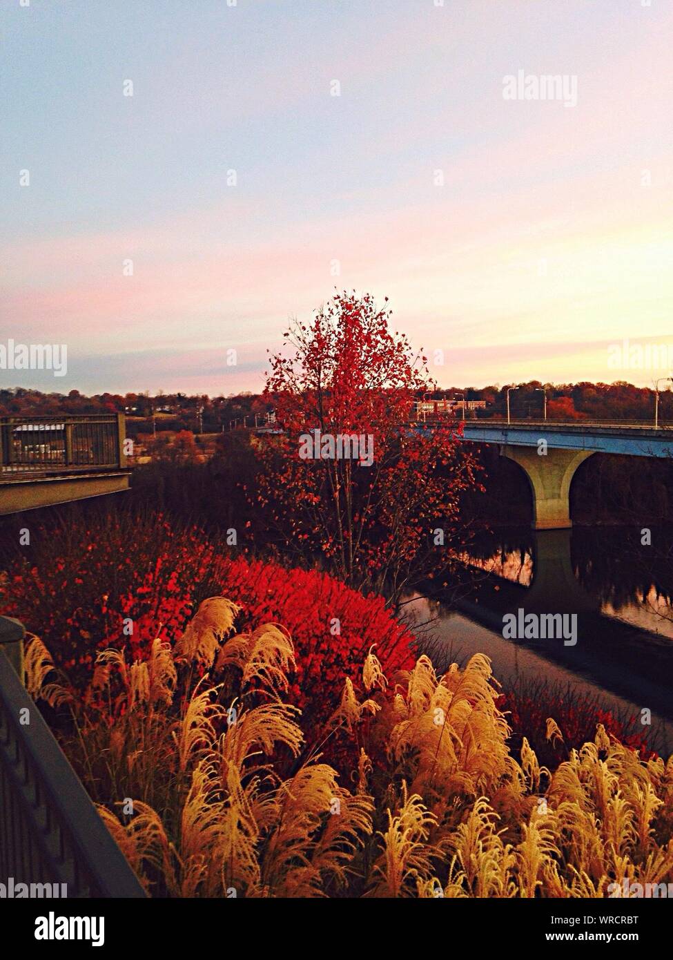 An elevated pedestrian walkway hi-res stock photography and images - Alamy