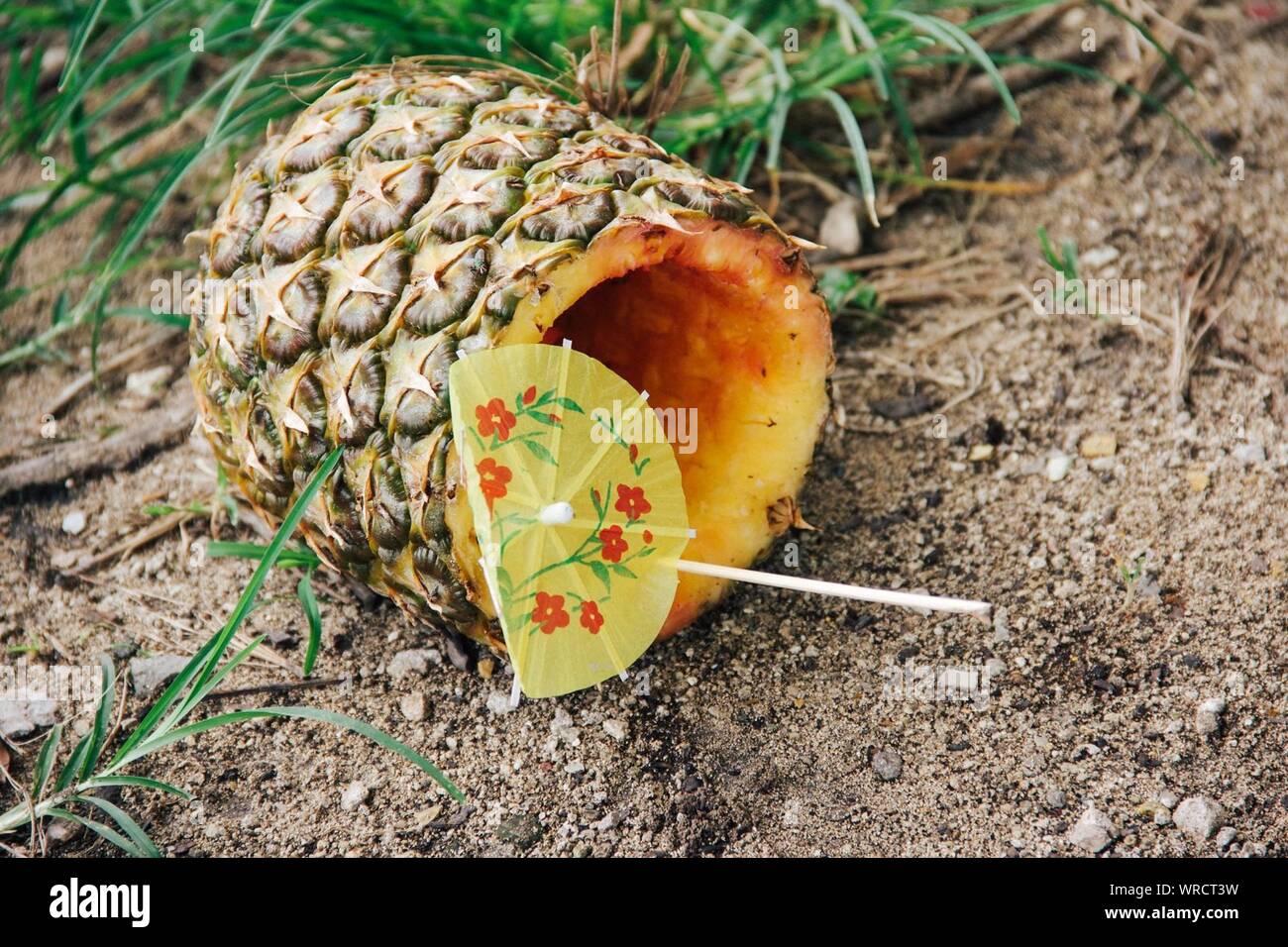 Pineapple grass hi-res stock photography and images - Alamy