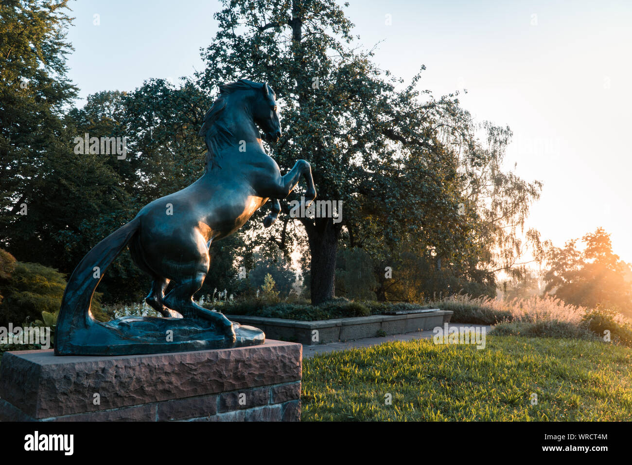 Horse statue rising in the morning sun Stock Photo - Alamy