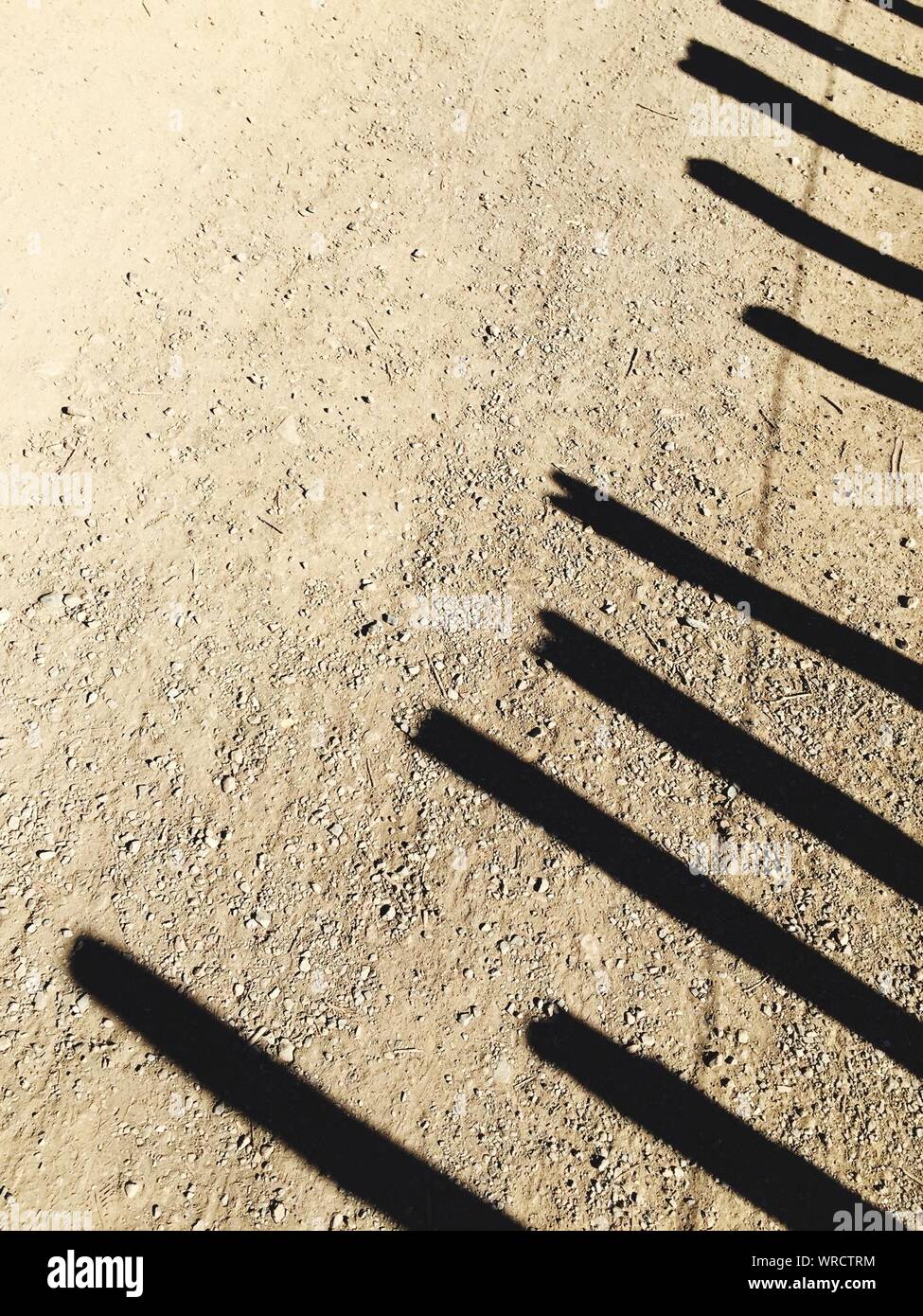 Shadows on pavement hi-res stock photography and images - Alamy