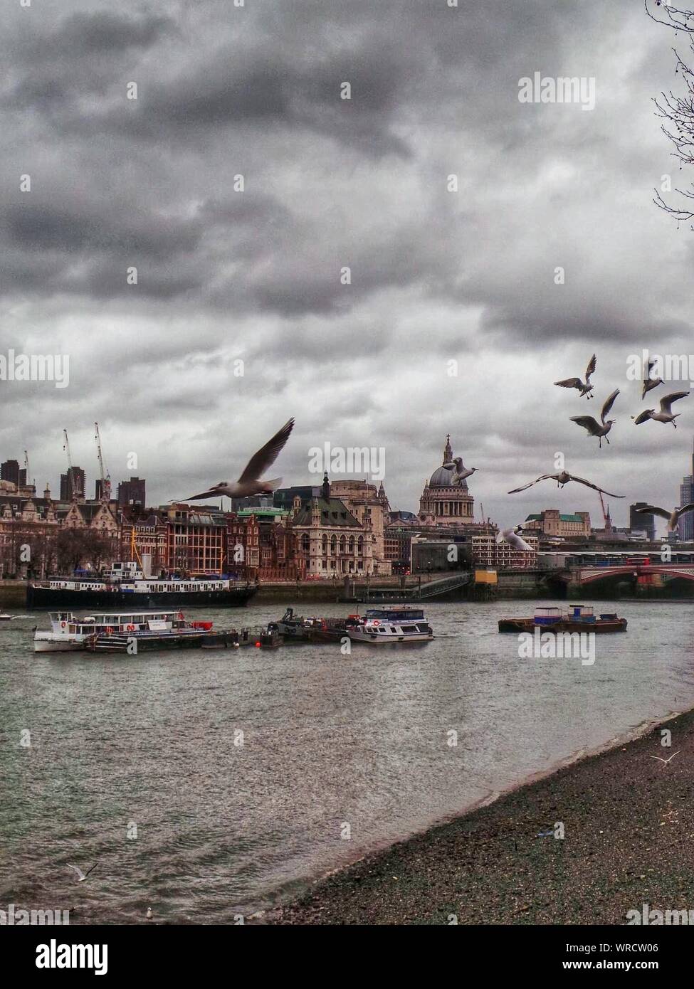 Wateri hi-res stock photography and images - Alamy