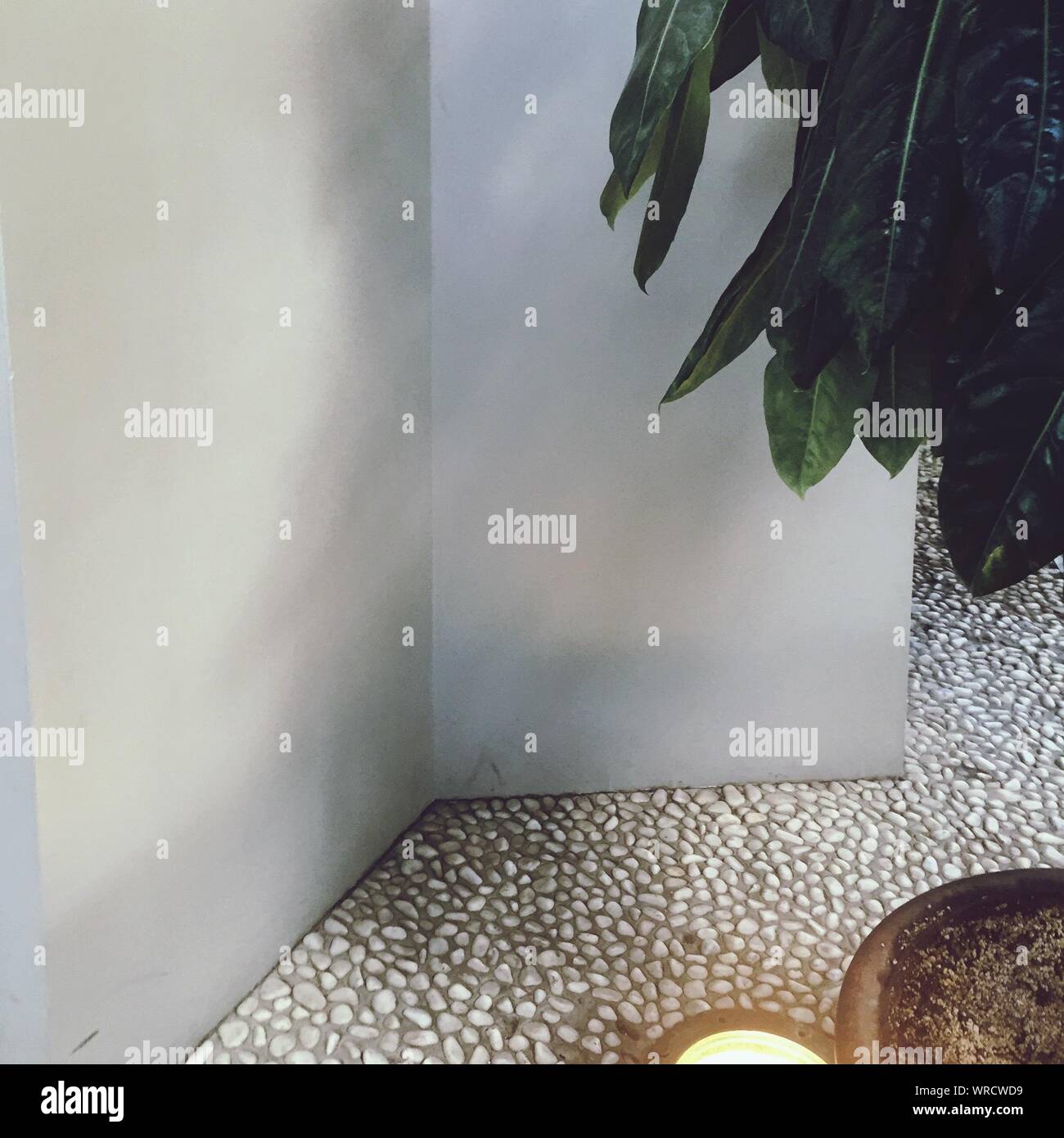 Pebble wall hi-res stock photography and images - Alamy