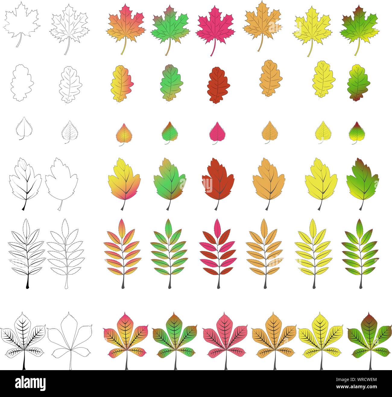 Autumn leaves pack Stock Vector Image & Art - Alamy