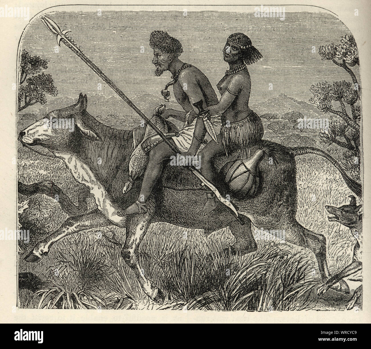 Traditional south african couple hi-res stock photography and images ...