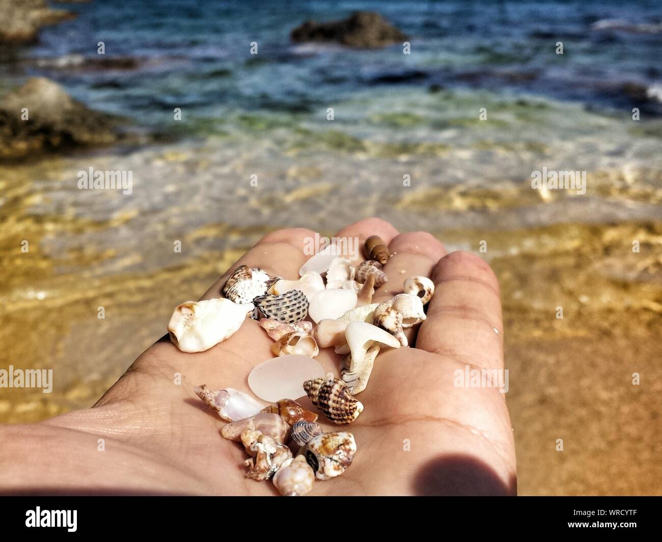 Body shells hi-res stock photography and images - Alamy