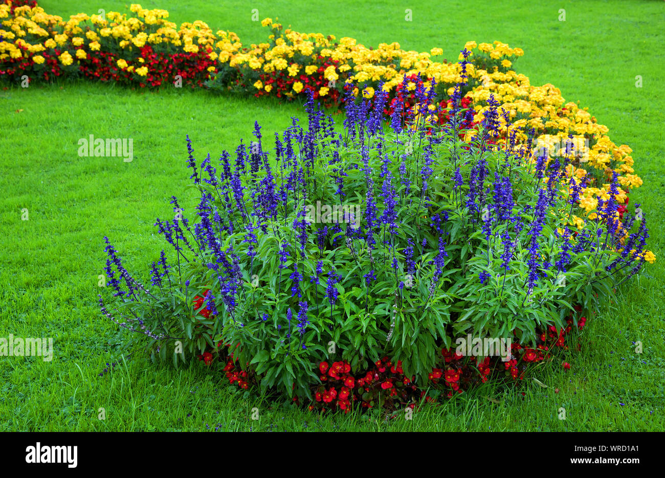 Lush flowers in garden hi-res stock photography and images - Alamy