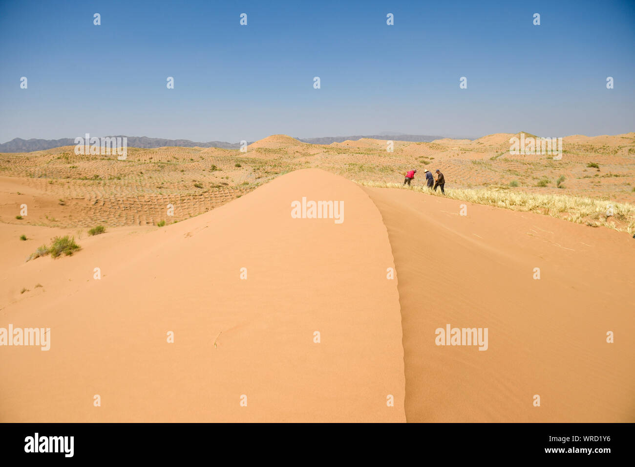 Protection barrier hi-res stock photography and images - Alamy