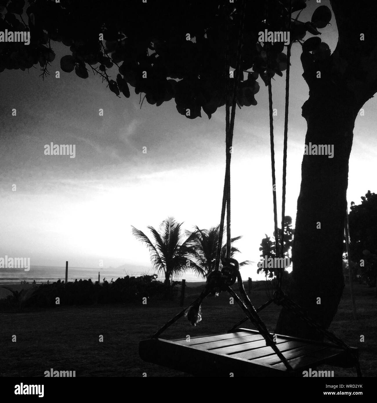 Tree Over Water Rope Swing High Resolution Stock Photography and Images ...