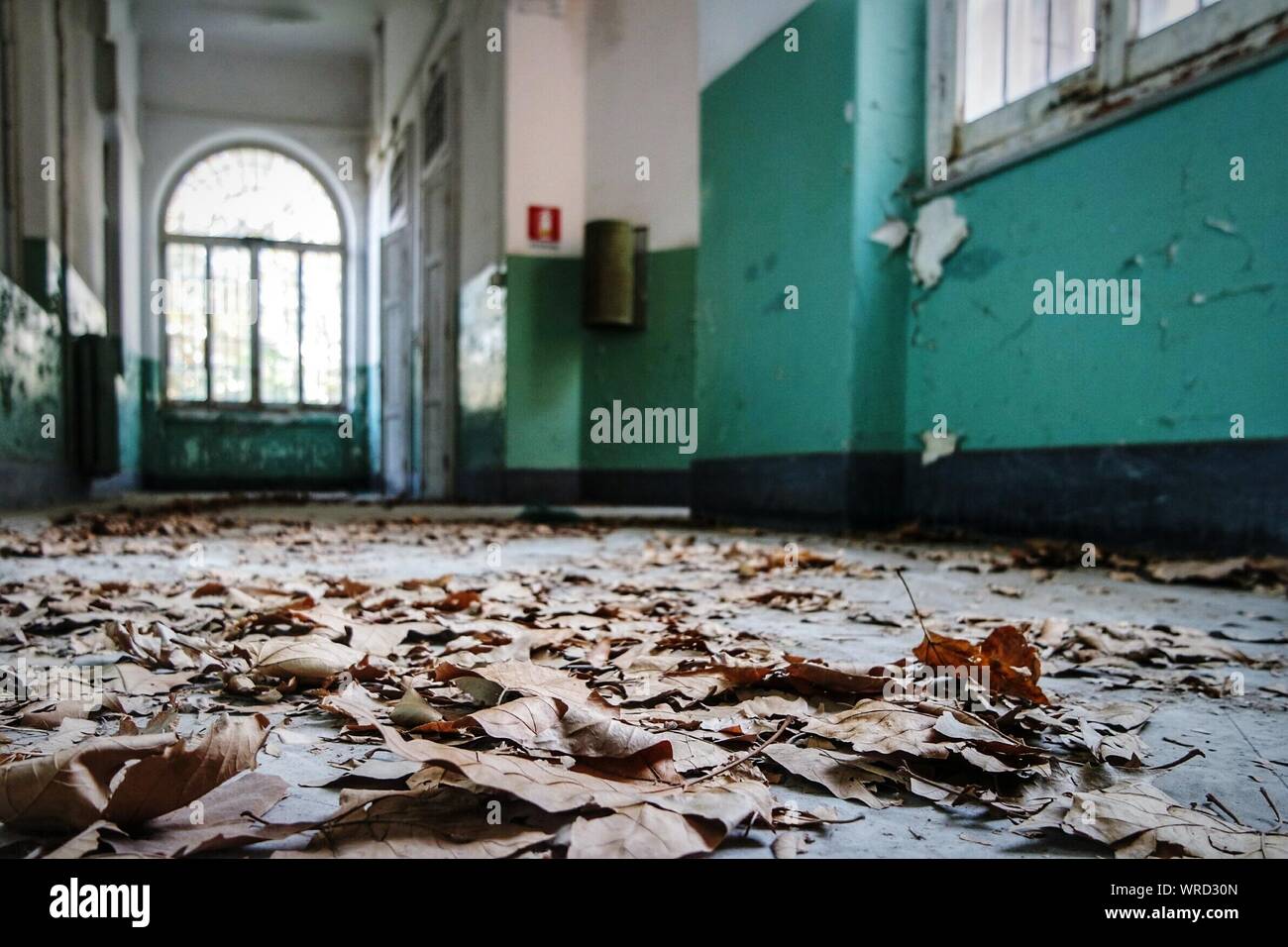 Fallen building hi-res stock photography and images - Alamy