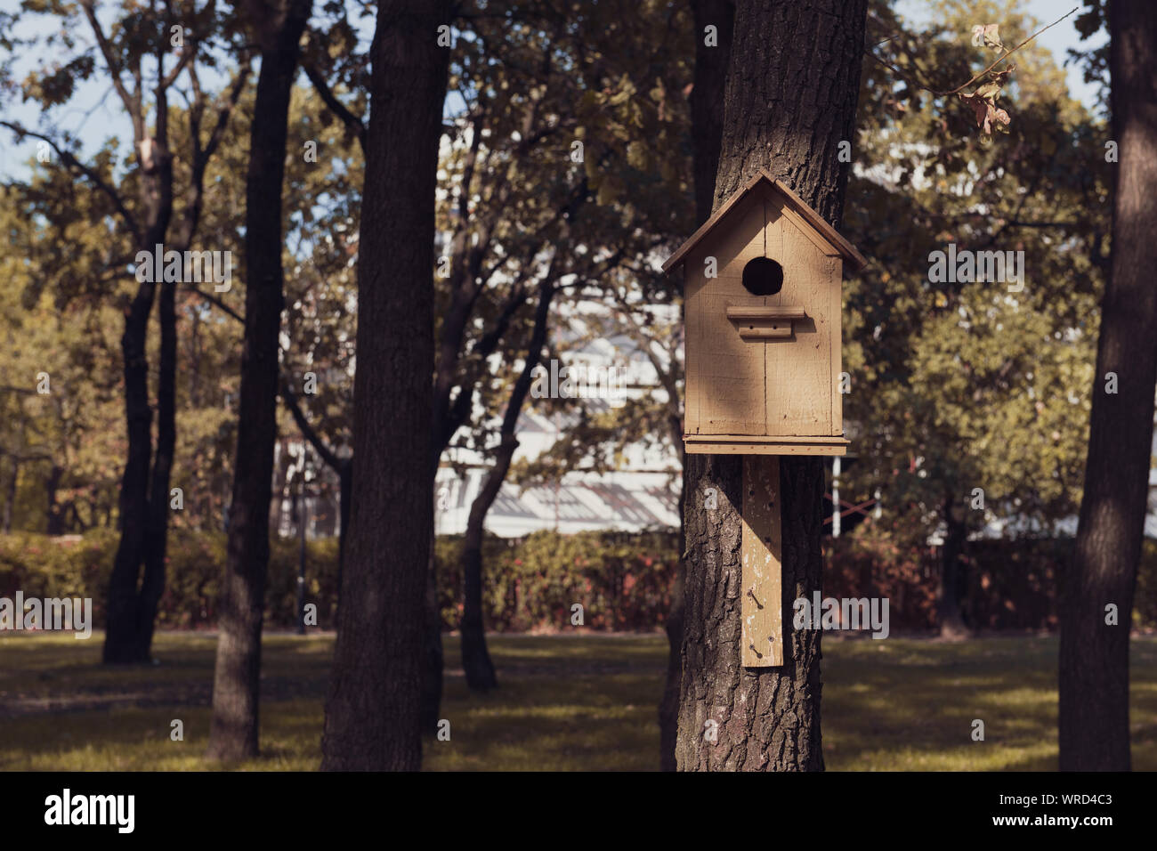 Cute empty wooden birdhouse in the park. Handmade house for birds among ...