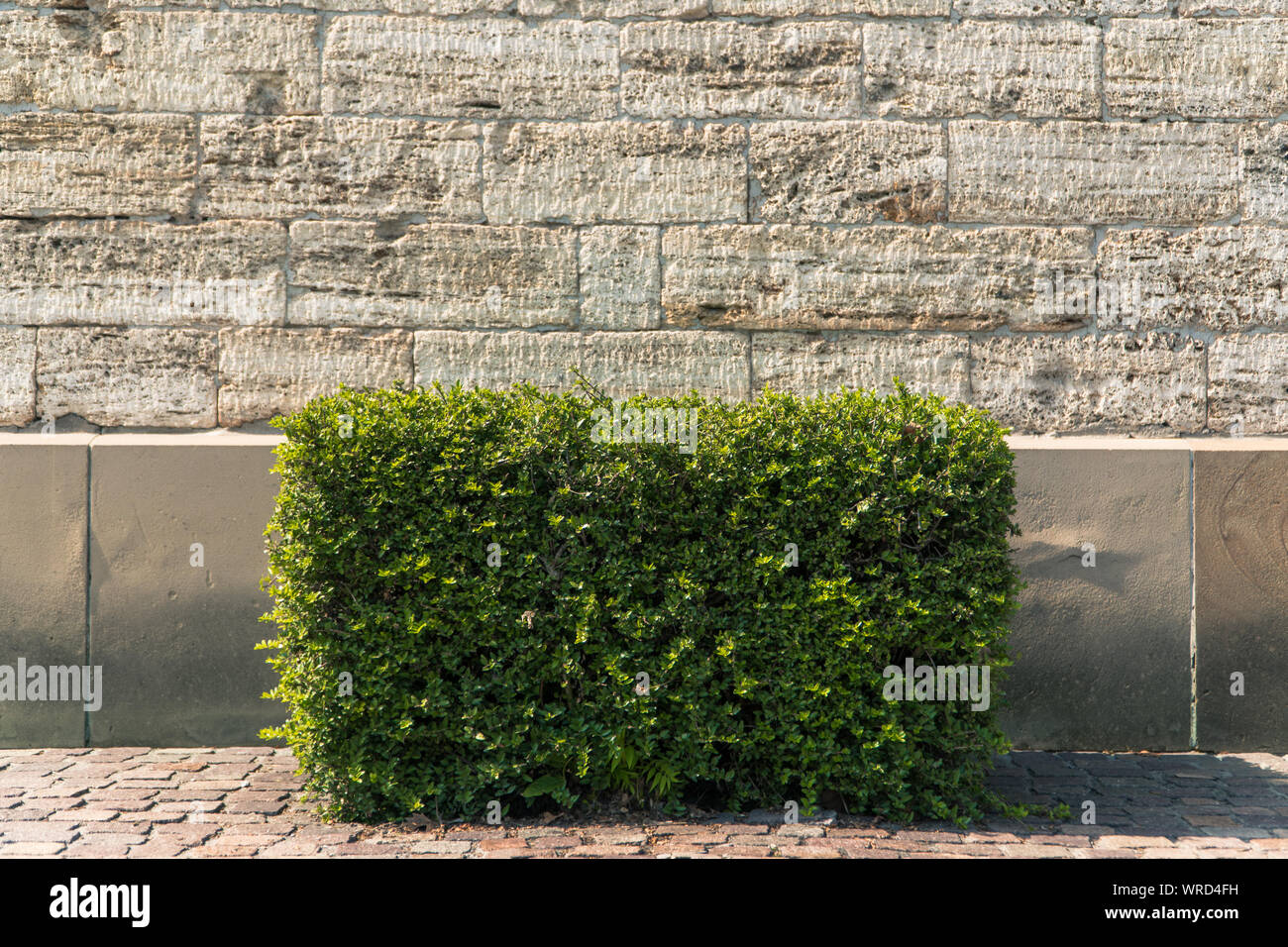 Single brick texture hi-res stock photography and images - Alamy