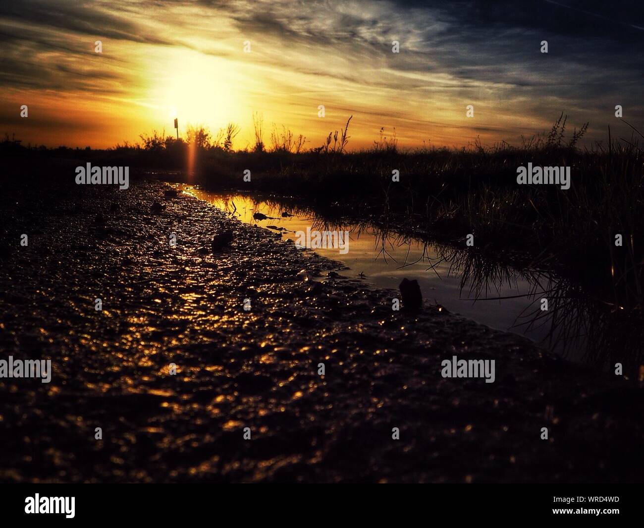 Sunset and wetland hi-res stock photography and images - Alamy