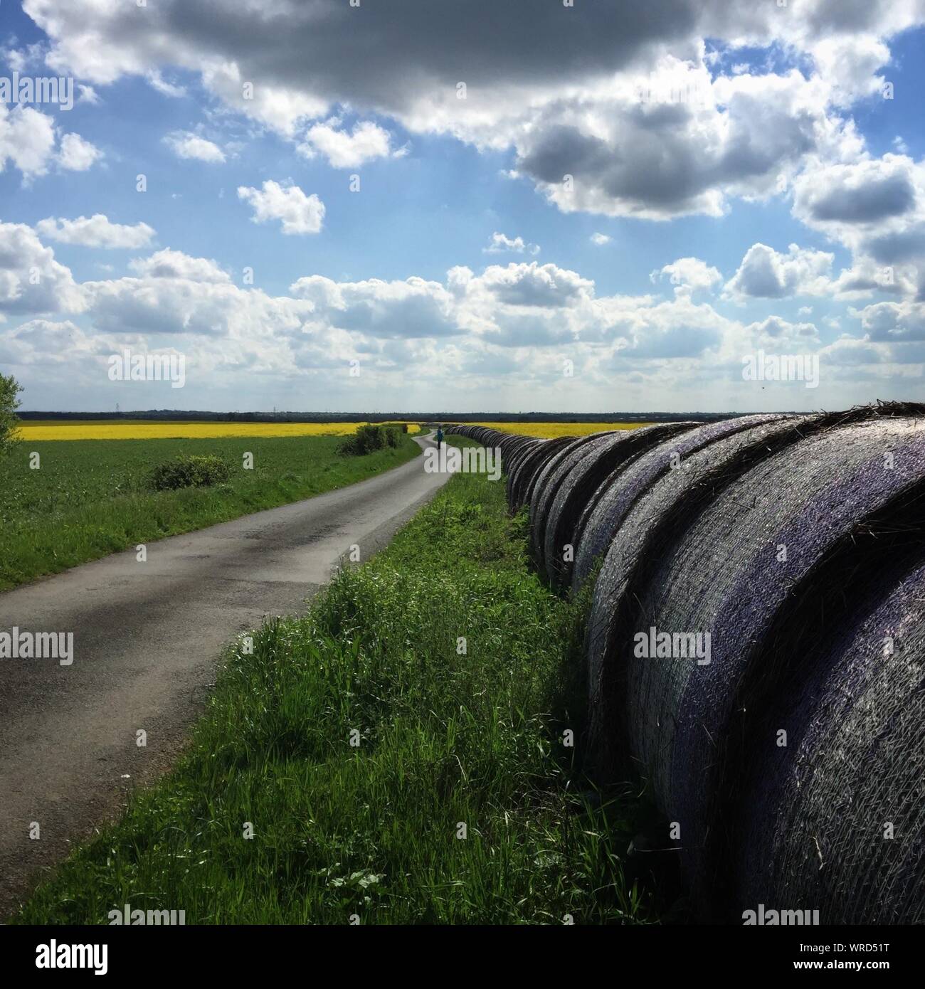 Hay bale on country road hi-res stock photography and images - Alamy