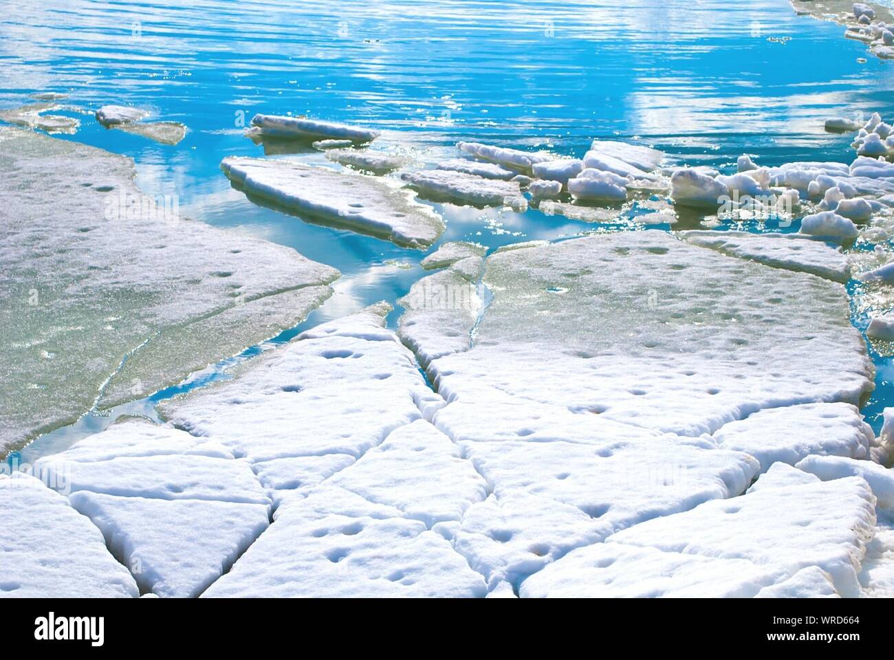 Melting of sea ice hi-res stock photography and images - Alamy