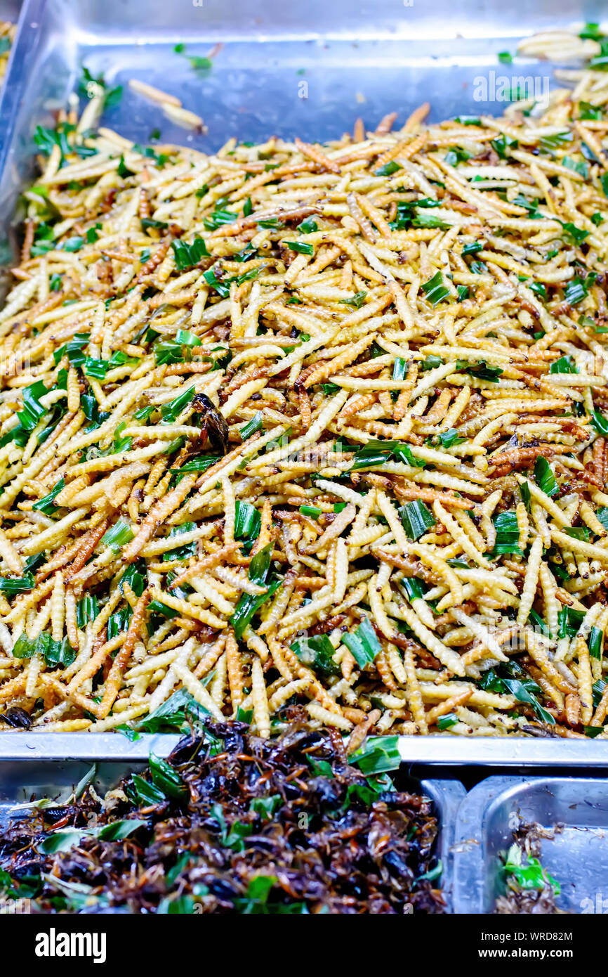Insects and worms is fried food. The people of Southeast Asia like to ...