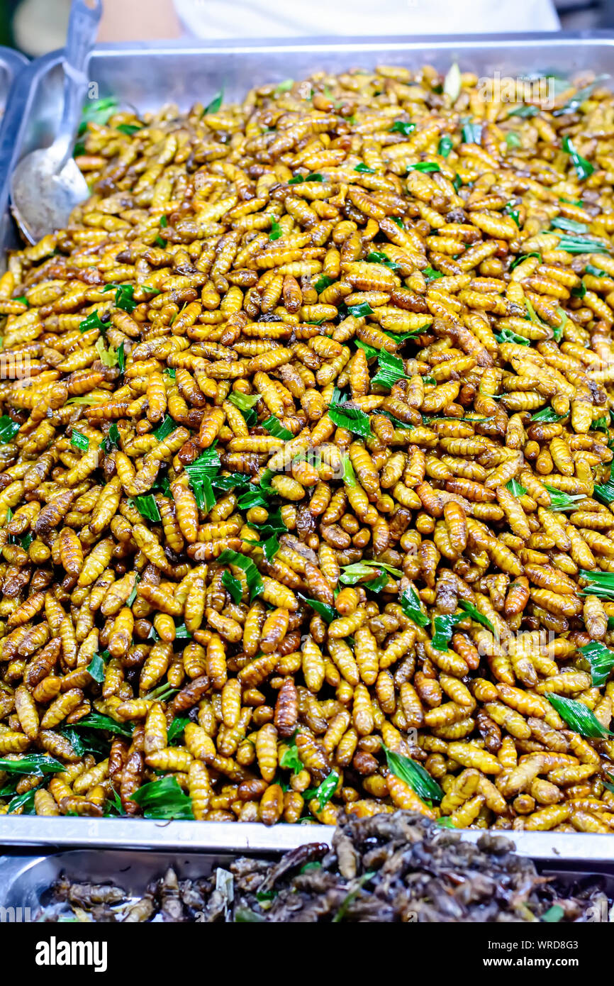 Insects and worms is fried food. The people of Southeast Asia like to ...