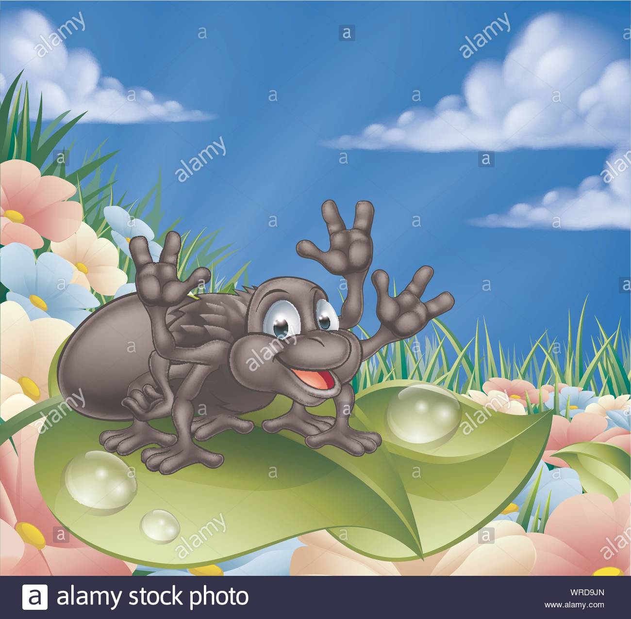 Cartoon Spider High Resolution Stock Photography and Images - Alamy