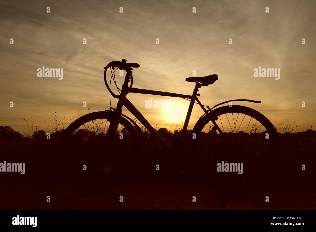 Cycle at sunset hi-res stock photography and images - Alamy