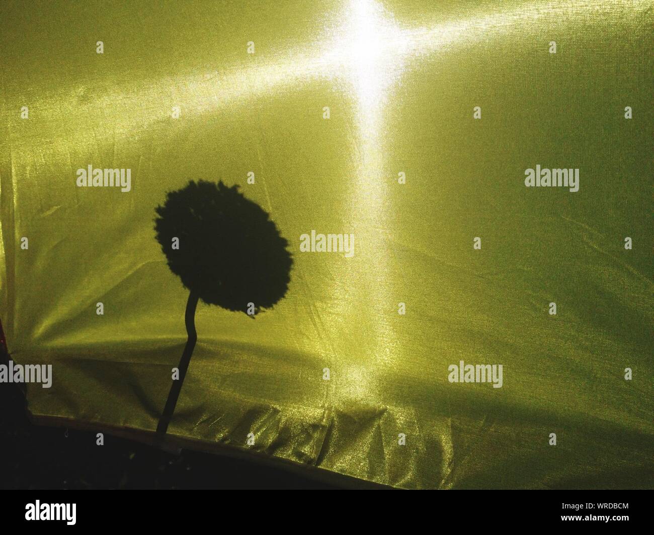 Shiny green hi-res stock photography and images - Alamy