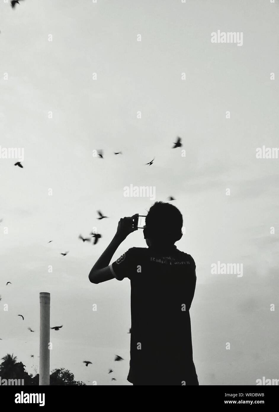 Smart Birds High Resolution Stock Photography and Images - Alamy