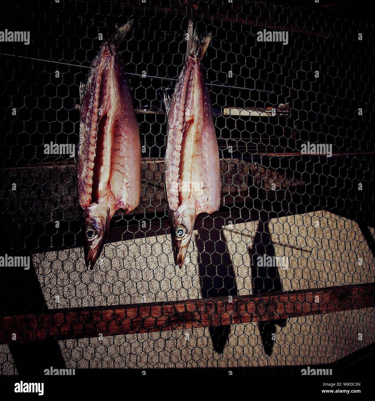 Fish fence hi-res stock photography and images - Alamy