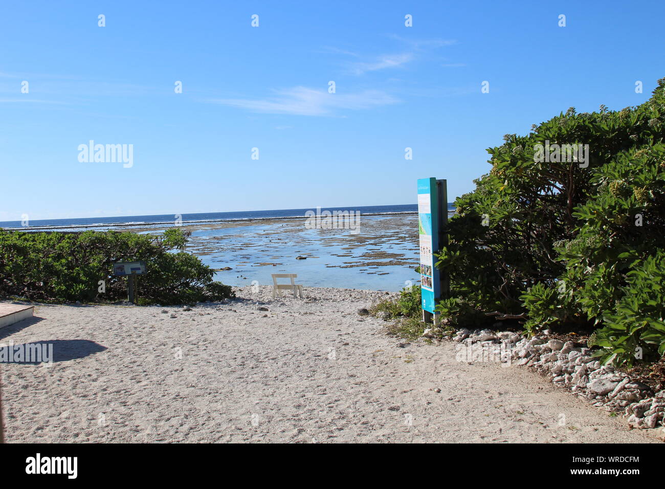 Lady elliot island hi-res stock photography and images - Alamy