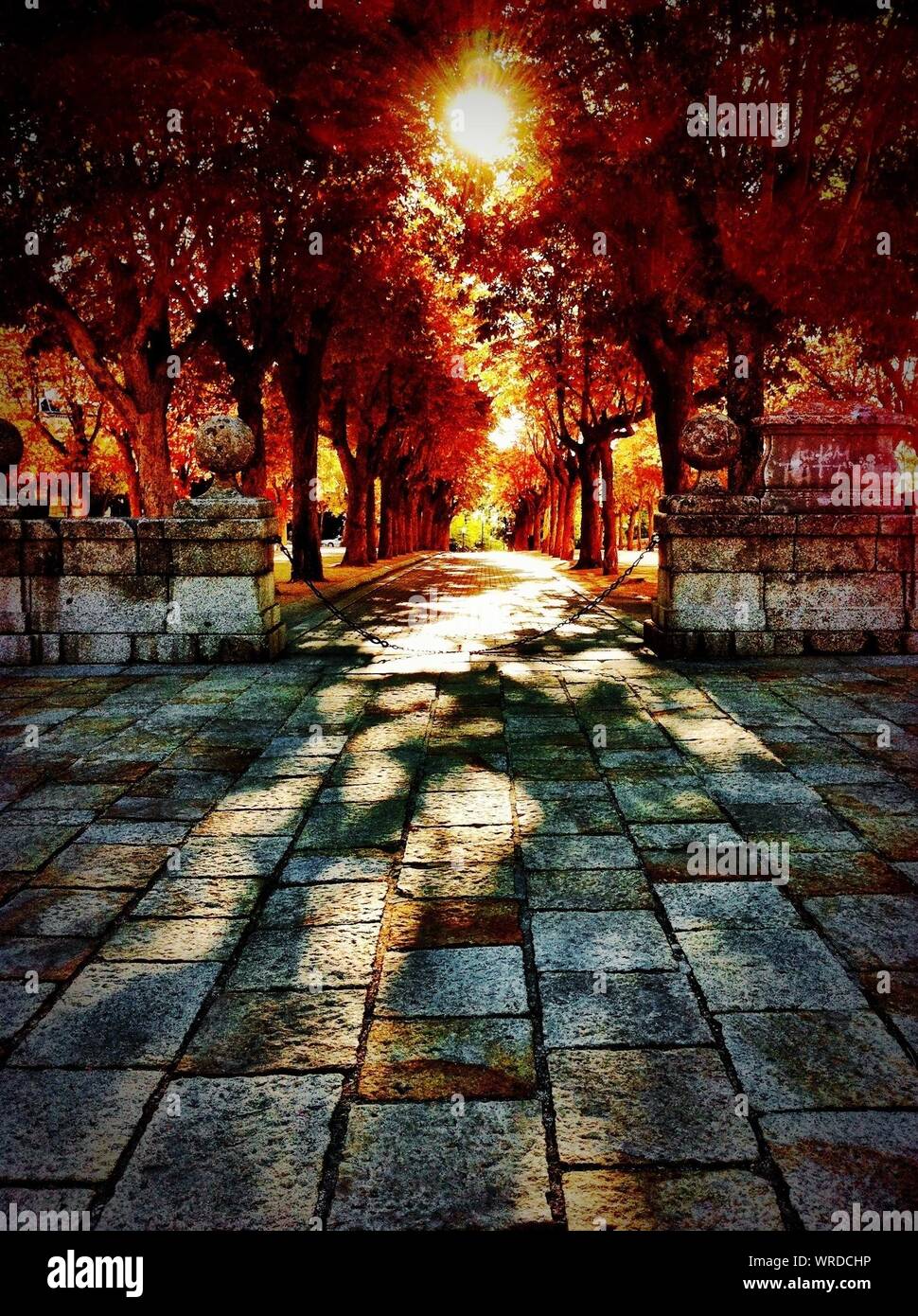 Long pathway hi-res stock photography and images - Alamy