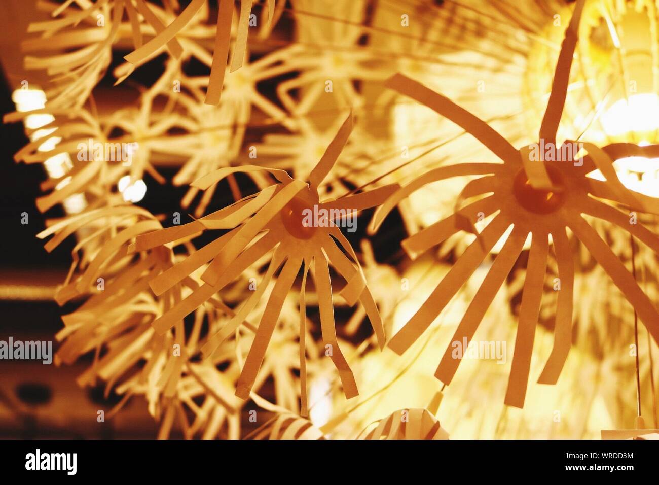 Illuminated paper hi-res stock photography and images - Alamy