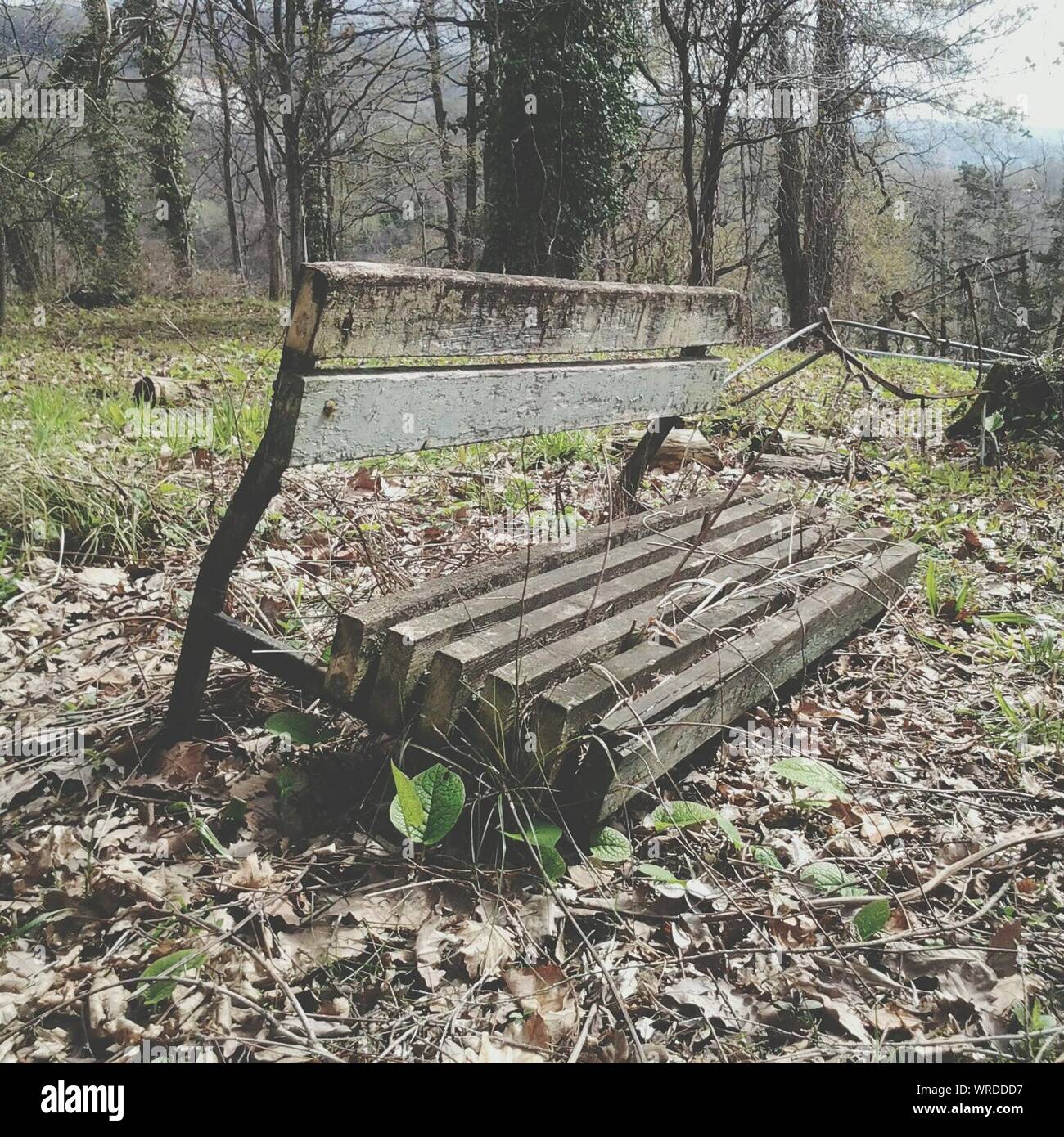Broken bench hi-res stock photography and images - Alamy