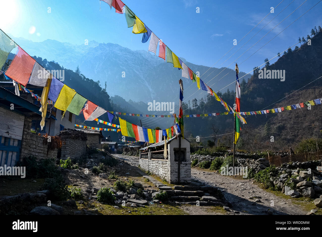 Prayer flags hang along a path in a Nepalese village Stock Photo - Alamy