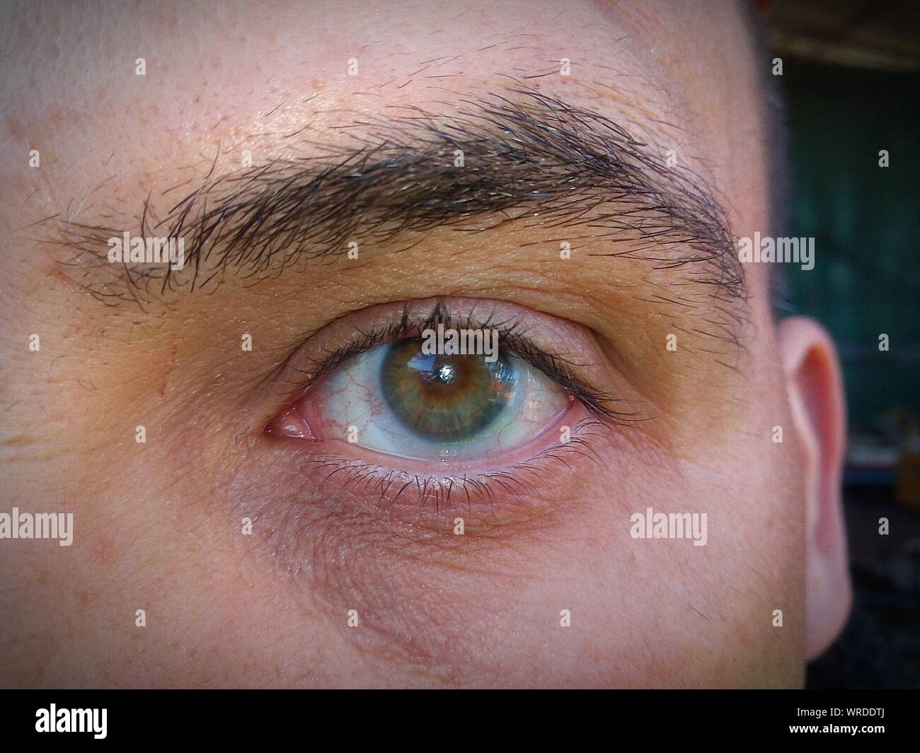 Man eye hi-res stock photography and images - Alamy