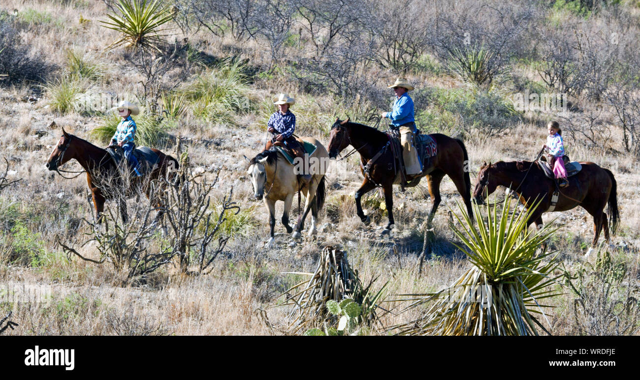 Cowboy and young riders helping for a cattle roundup on a West Texas ...