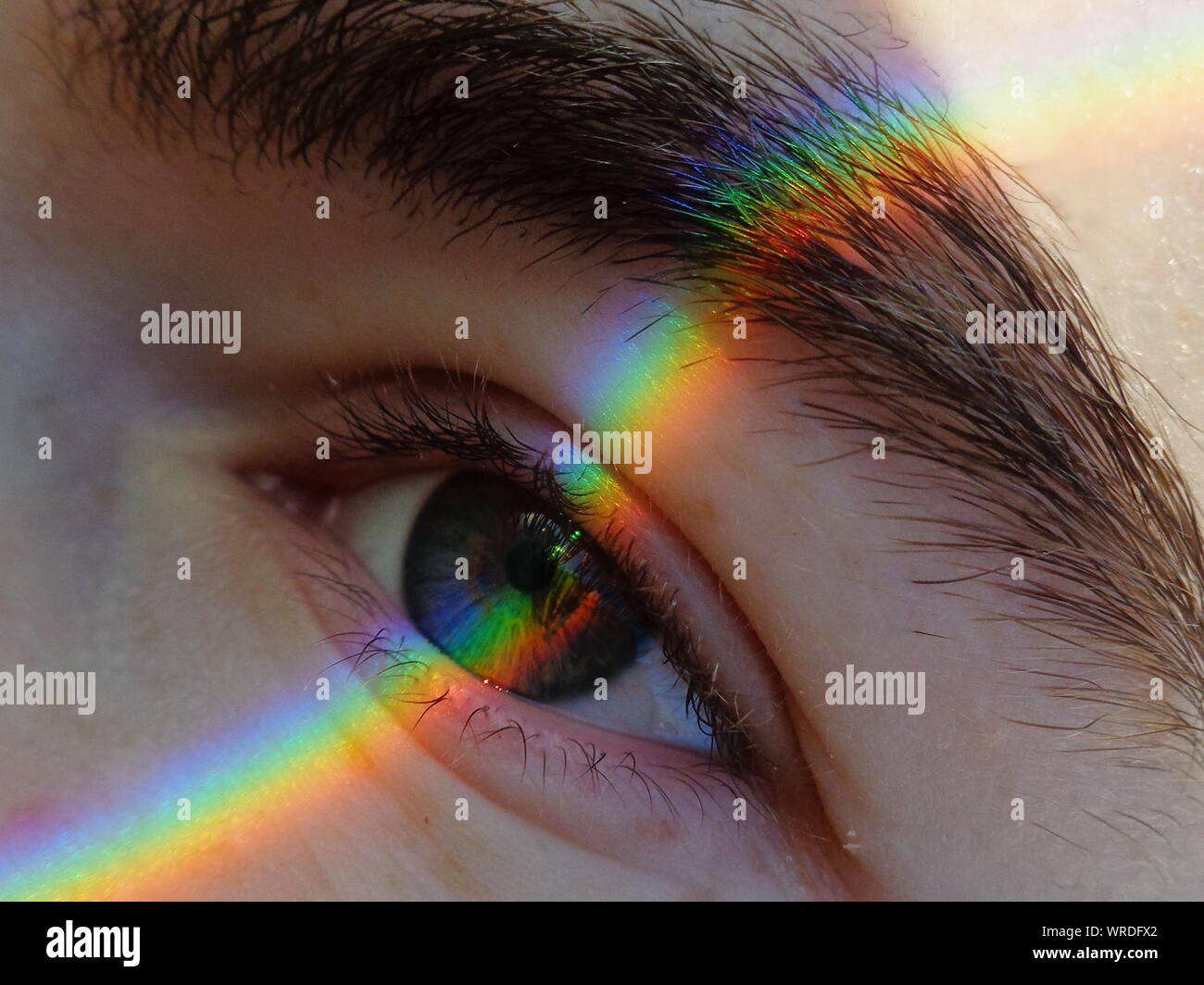 Light perception hi-res stock photography and images - Alamy