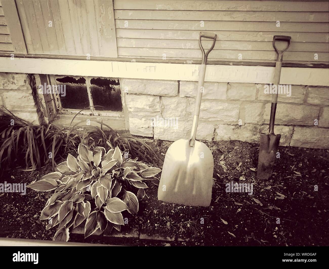 Two Shovels High Resolution Stock Photography and Images - Alamy