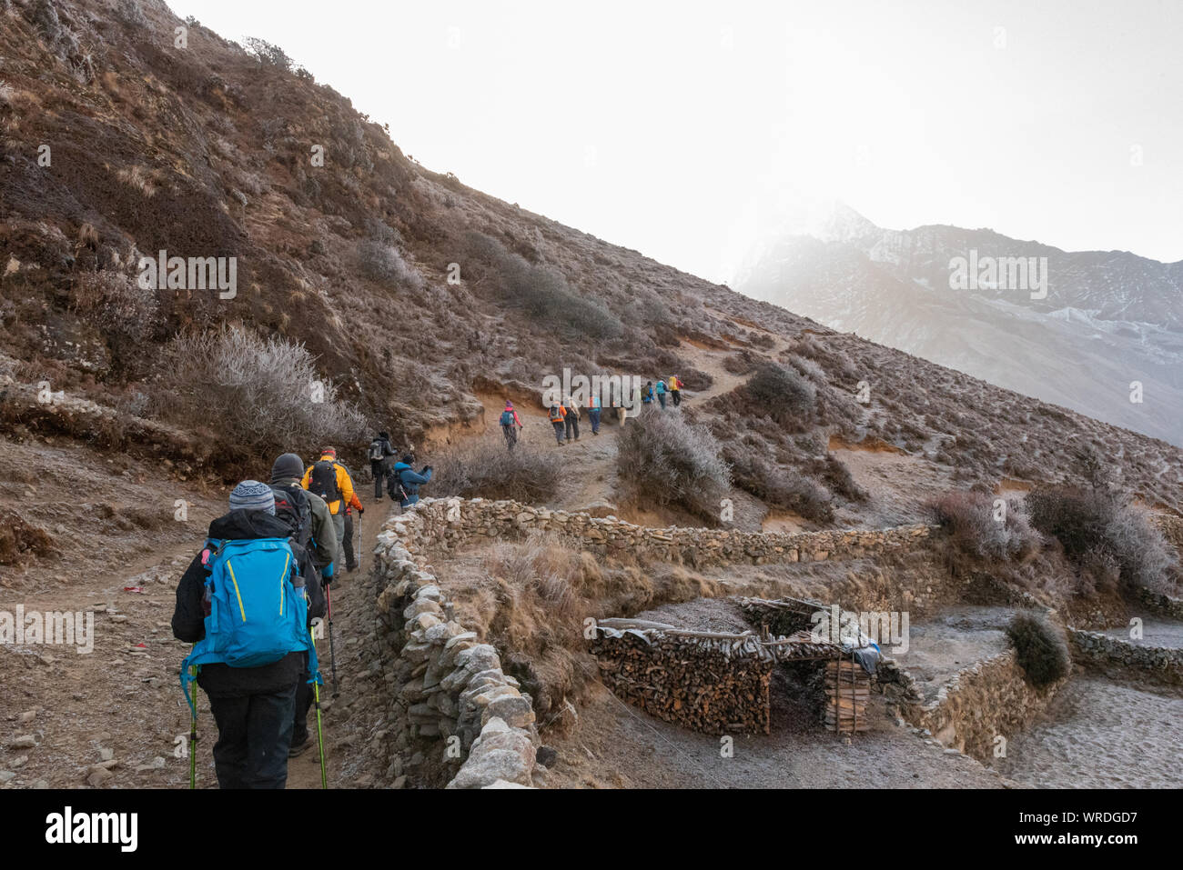 Hikers walking on a trail in Nepal Stock Photo - Alamy