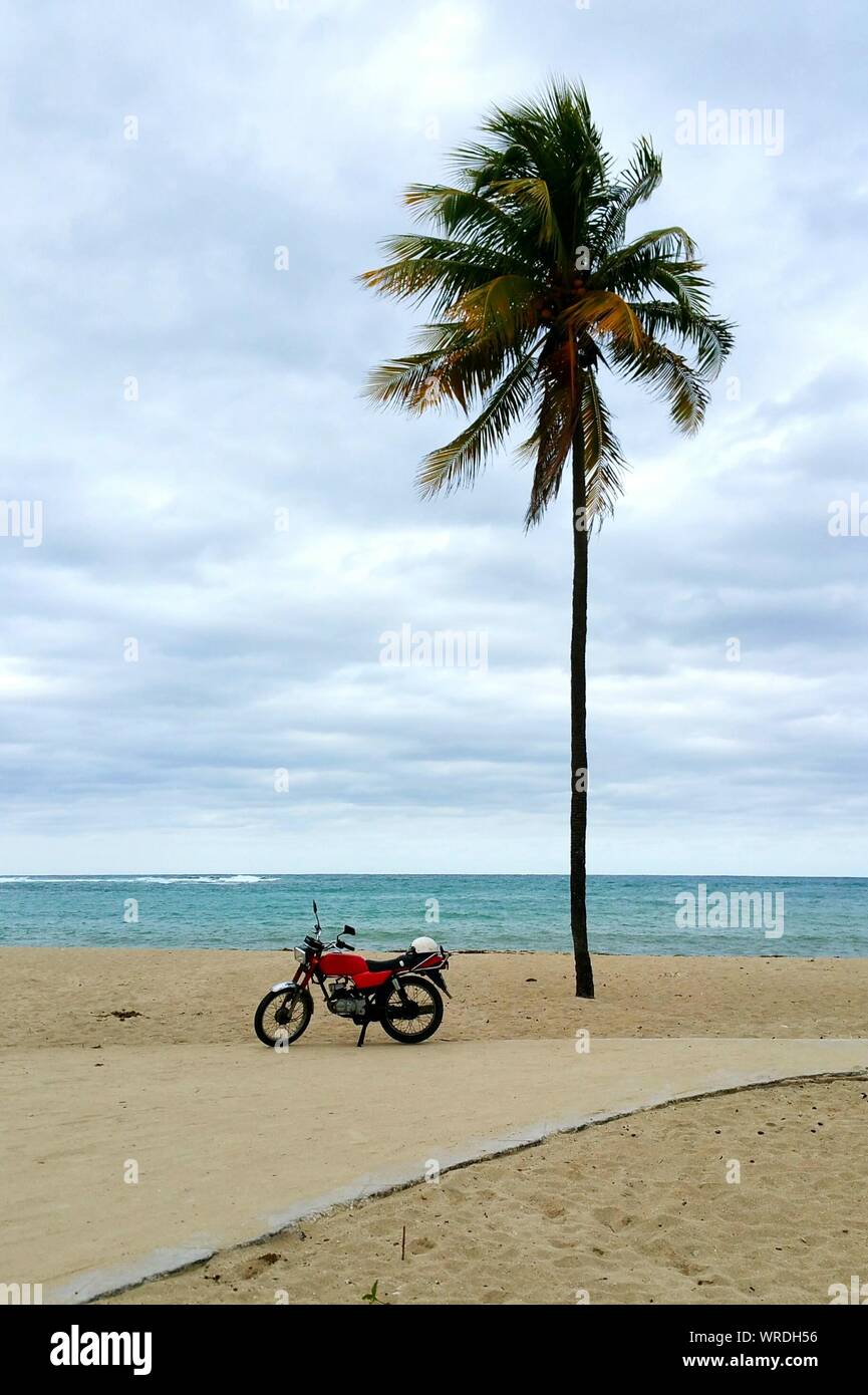 Tree and motorcycle hi-res stock photography and images - Alamy