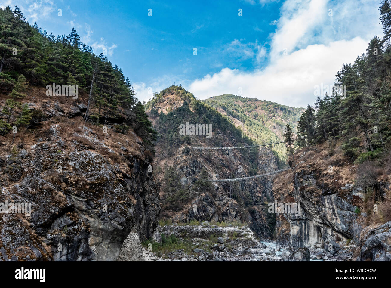 Double suspension hi-res stock photography and images - Alamy