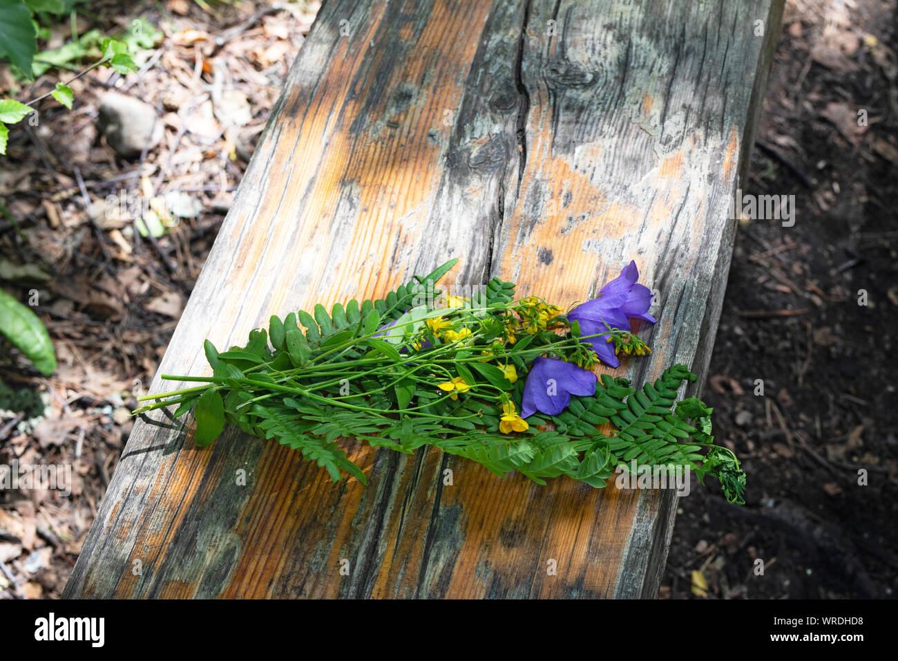 an abandoned bouquet of flowers lying on a bench. Meadow flowers ...