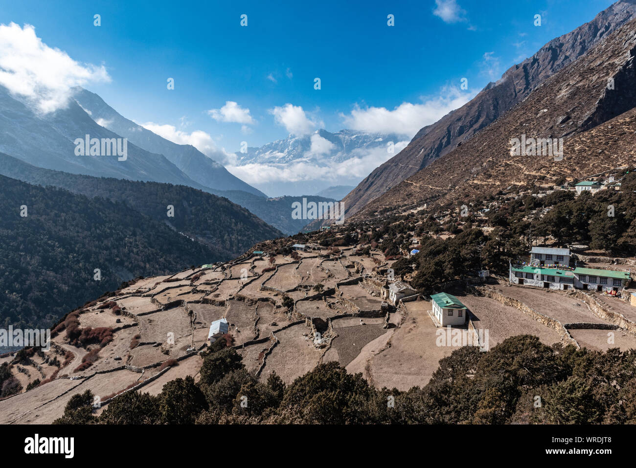Farm terraces on the Nepalese hillside Stock Photo - Alamy