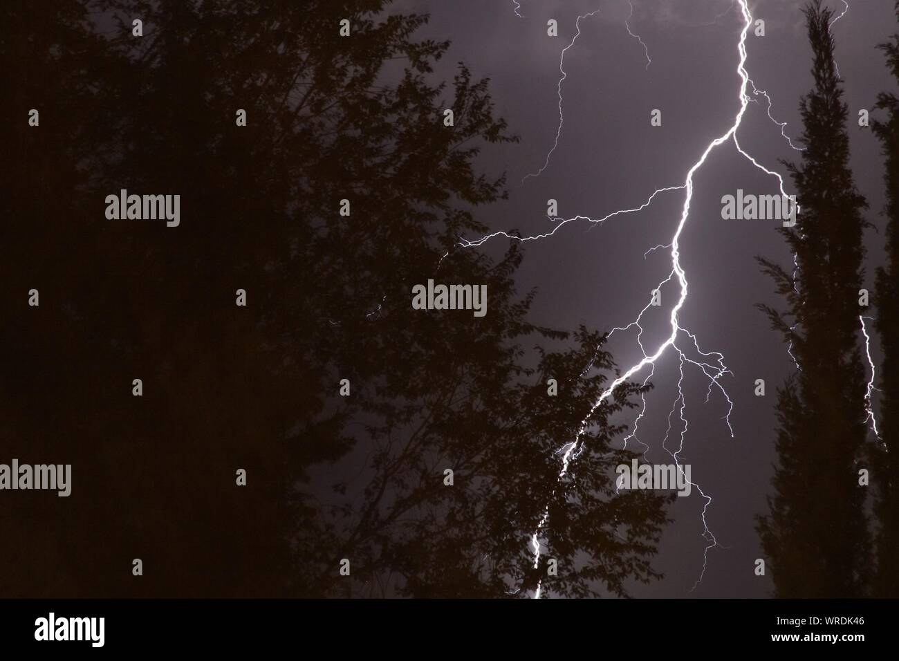 Tree lightning storm hi-res stock photography and images - Alamy