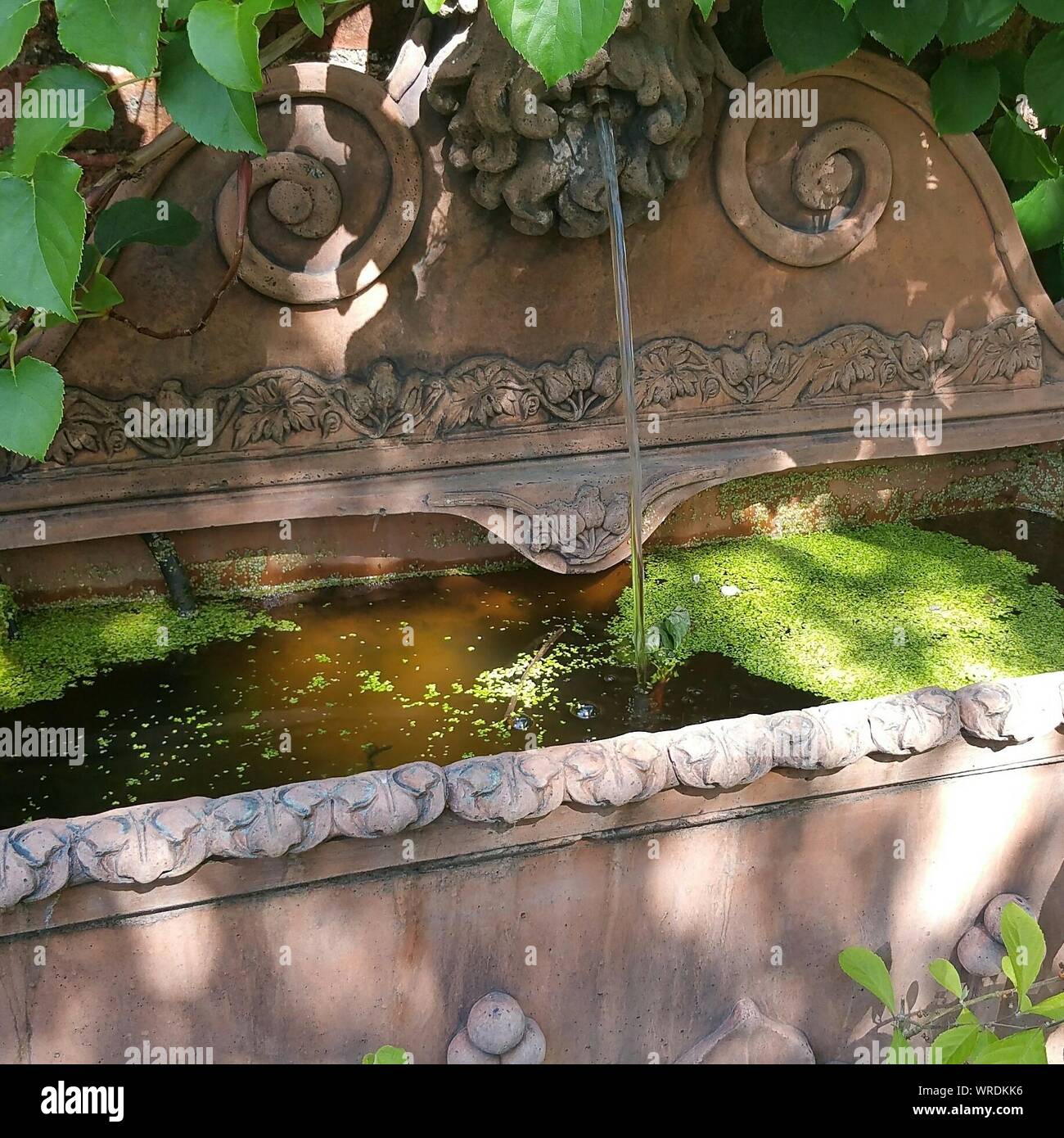 Water Trough Stone High Resolution Stock Photography and Images - Alamy