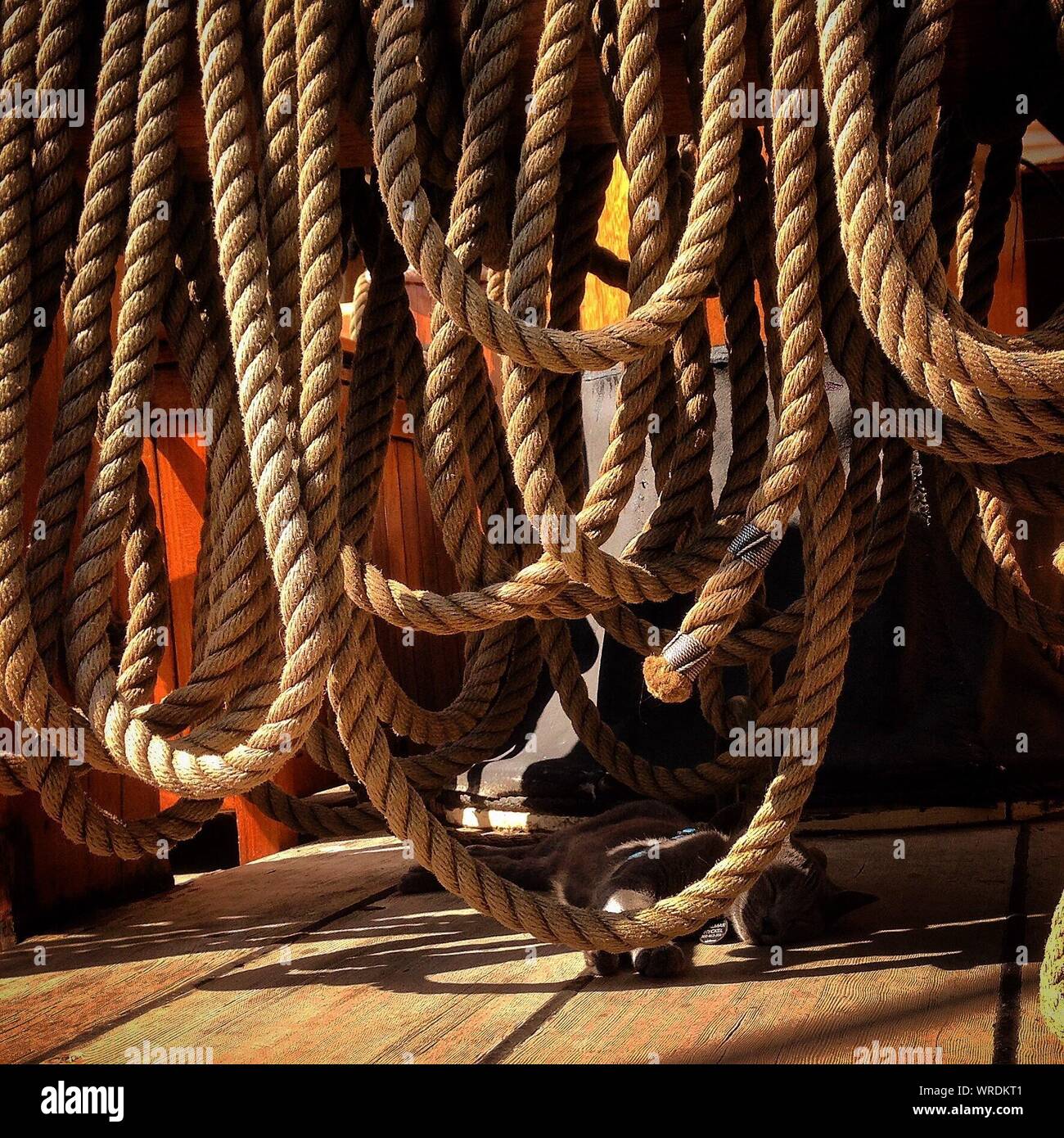 Boat equipment ropes hi-res stock photography and images - Alamy