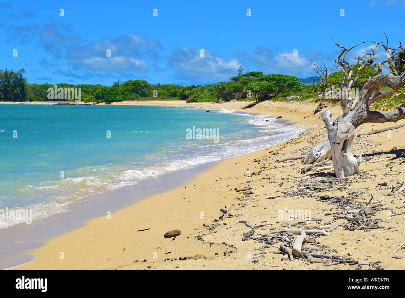 Kanaha Beach Park, Maui Stock Photo - Alamy