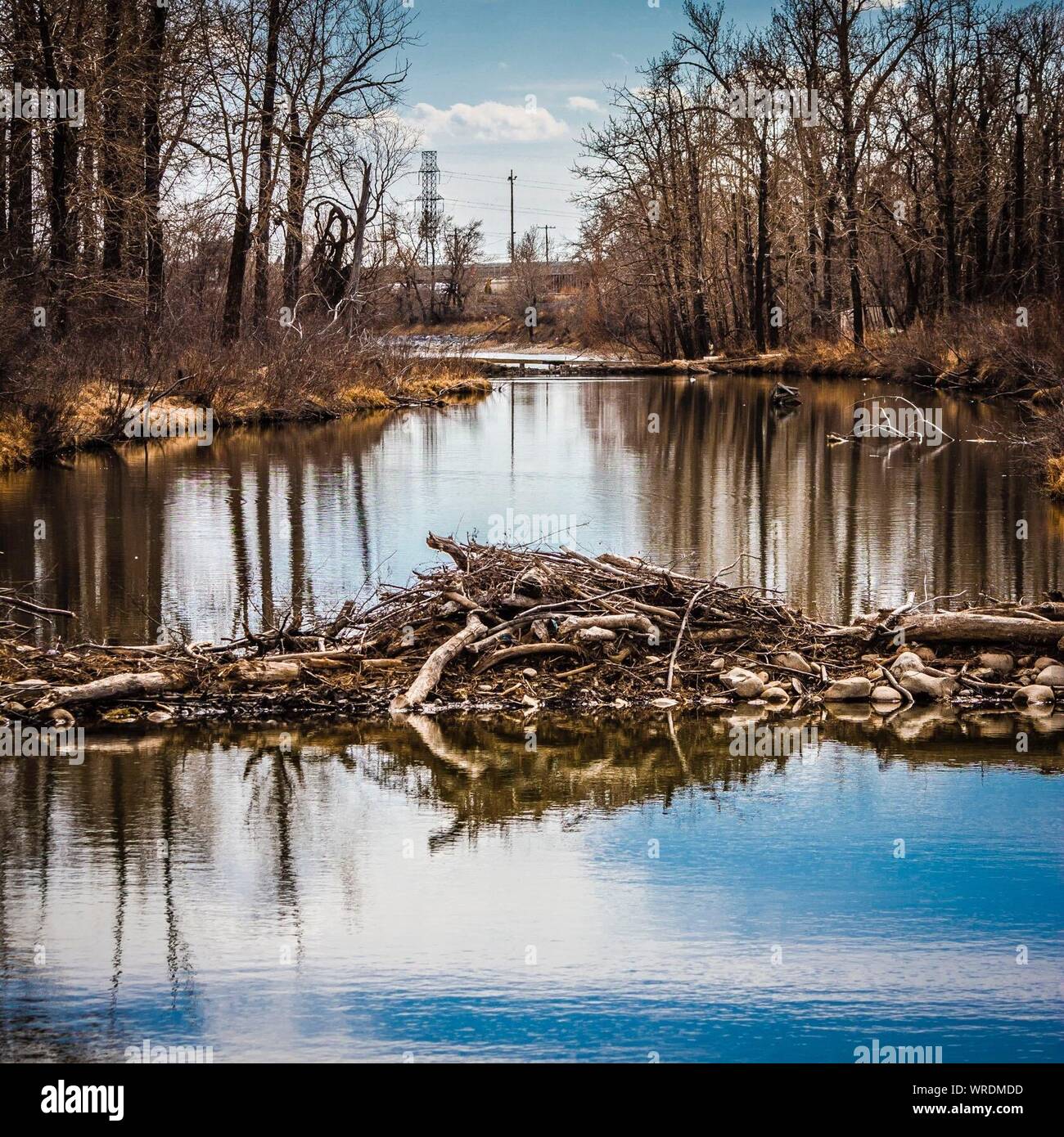Beaver dam river hi-res stock photography and images - Alamy
