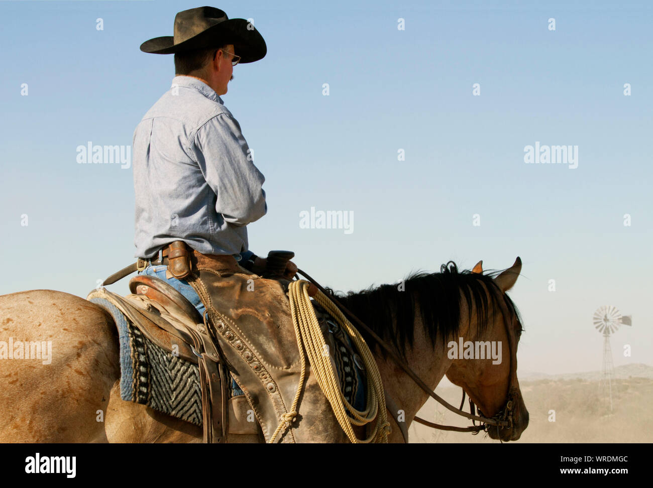 Cowboy on a West Texas ranch Stock Photo - Alamy