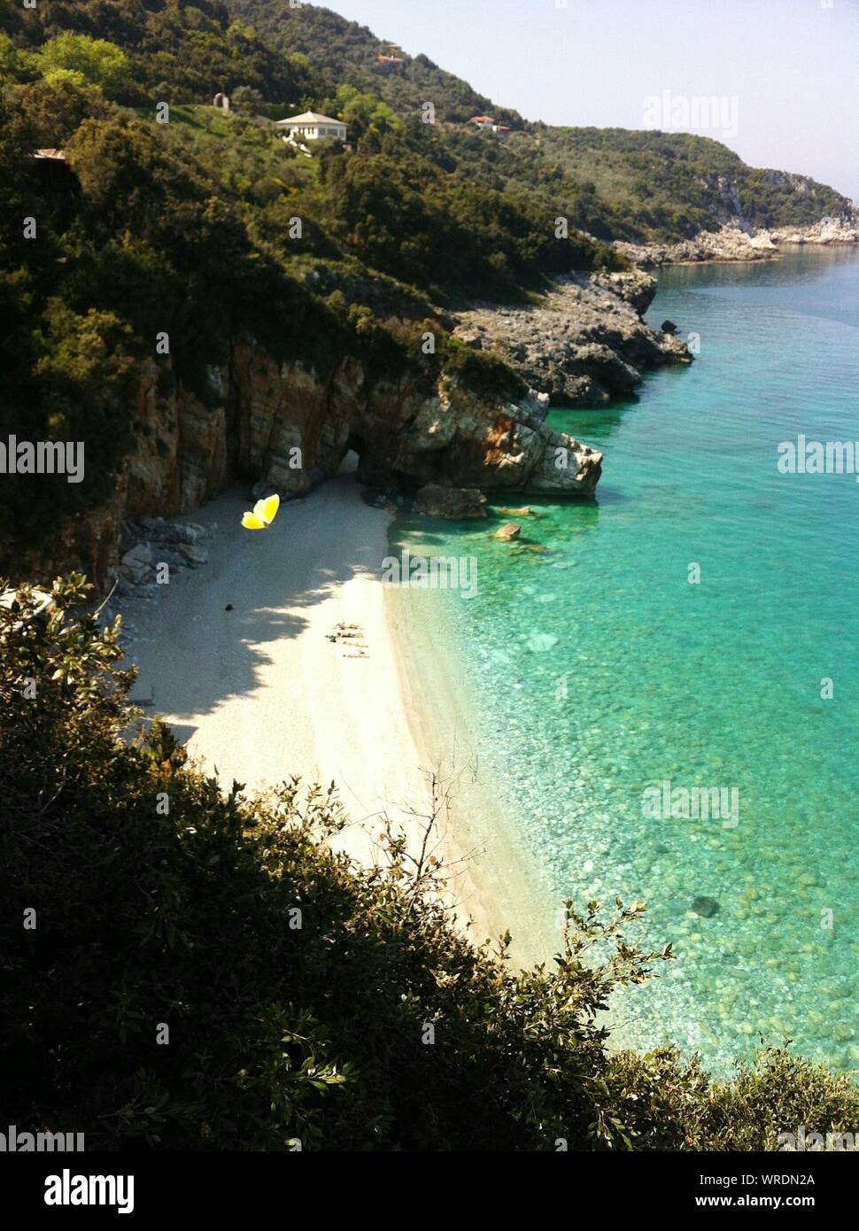 High tress hi-res stock photography and images - Alamy