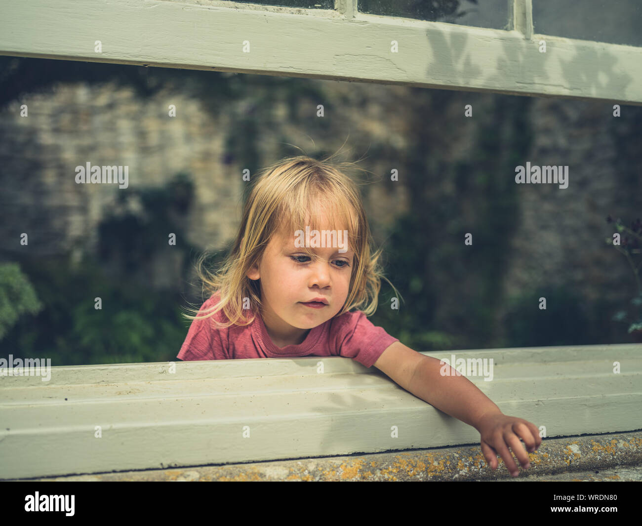 A little toddler is looking out the window from a conservatory in the ...